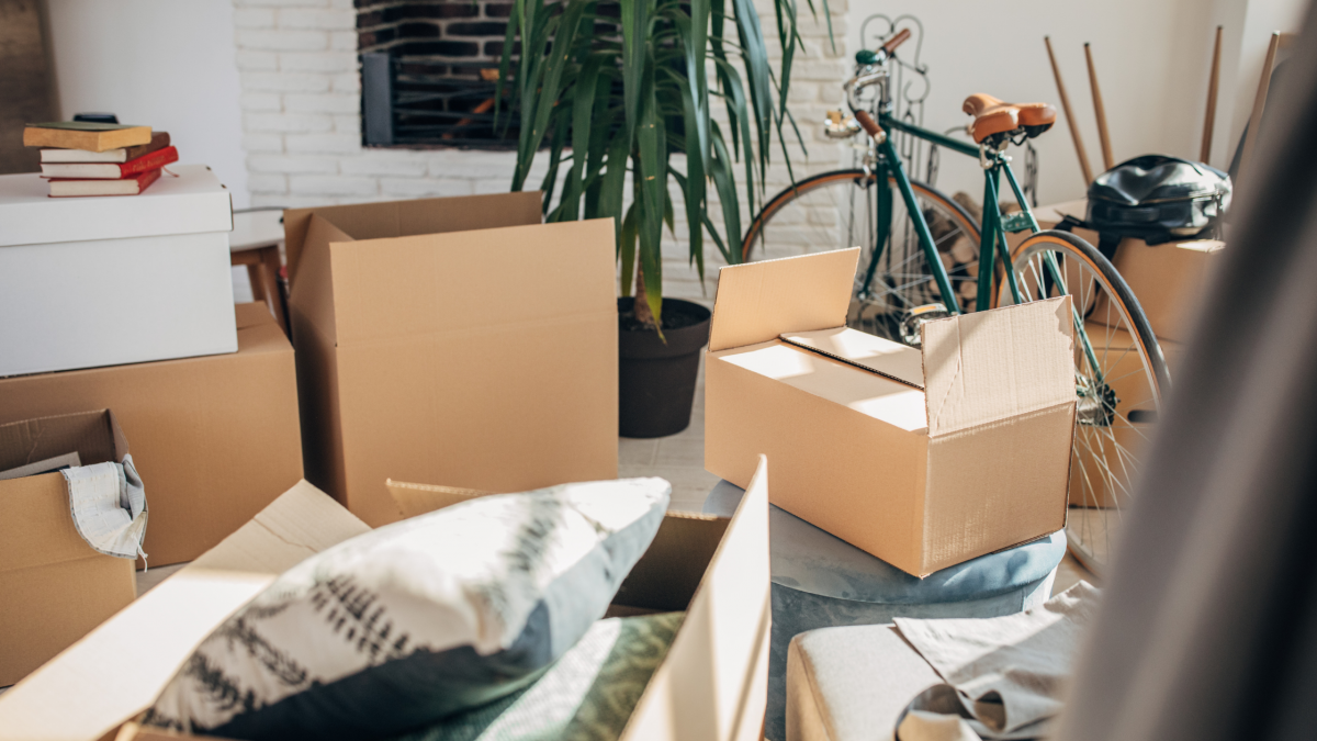 Our Top 3 Decluttering Blog Posts of 2022 – Design Services LTD